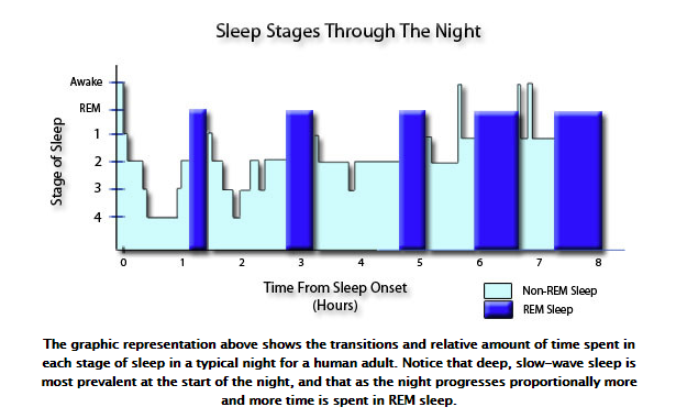 DON'T SLEEP ON SLEEP PART 1: What is sleep and how does it work? - EWYN ...